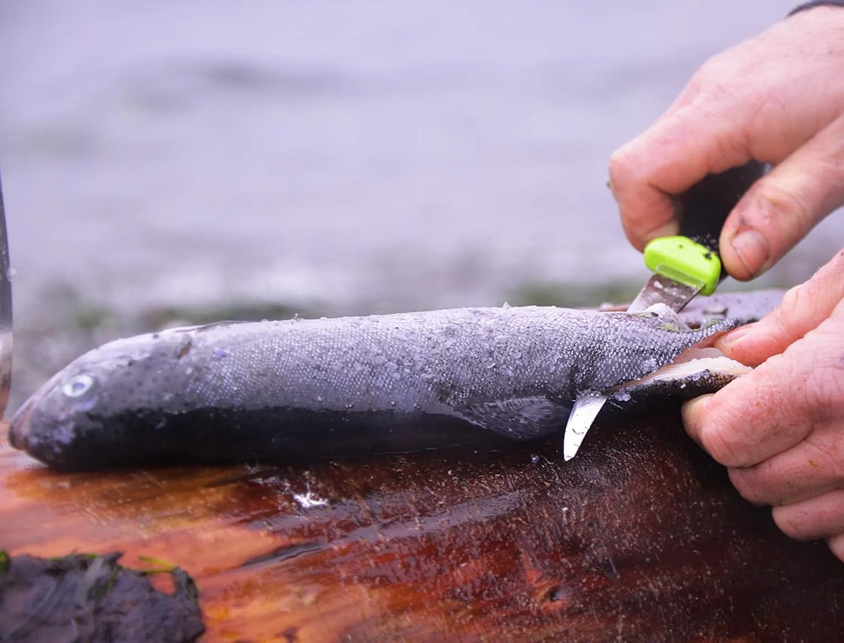 What is a Fish Knife? – ZB Knives Store